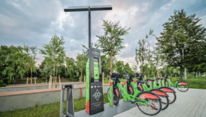 Sibiu Bike City își închide sezonul. Cele 640 de biciclete intră în ...