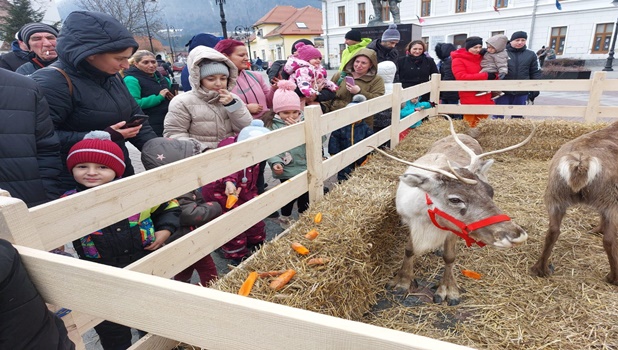 Renii lui Moș Crăciun poposesc la Zărnești - Transilvania 365